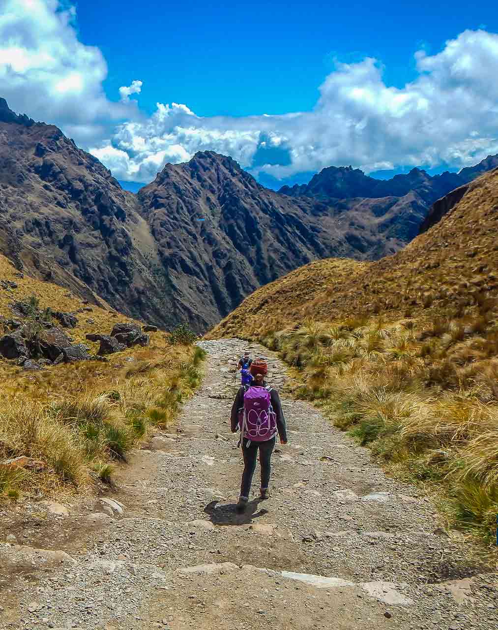 Inca Trail to Machu Picchu 4 days | Go Treks Peru